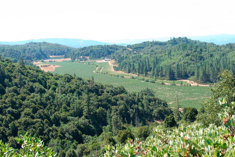 Benmore Valley – Qorkz