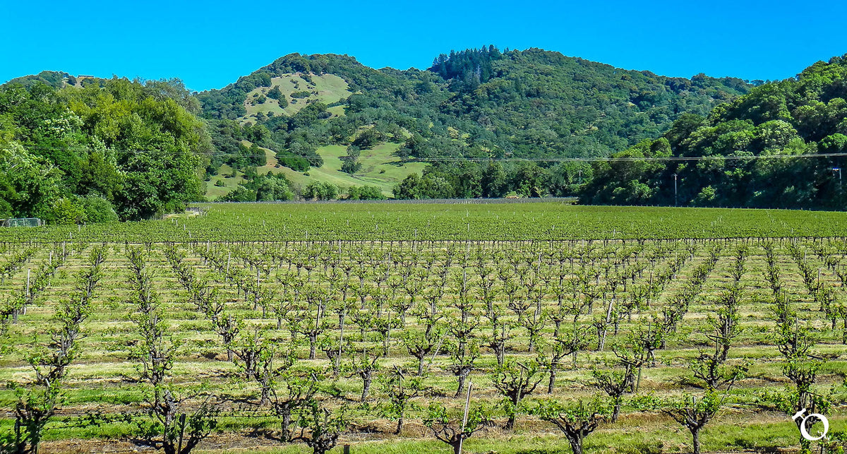 Cole Ranch – Qorkz