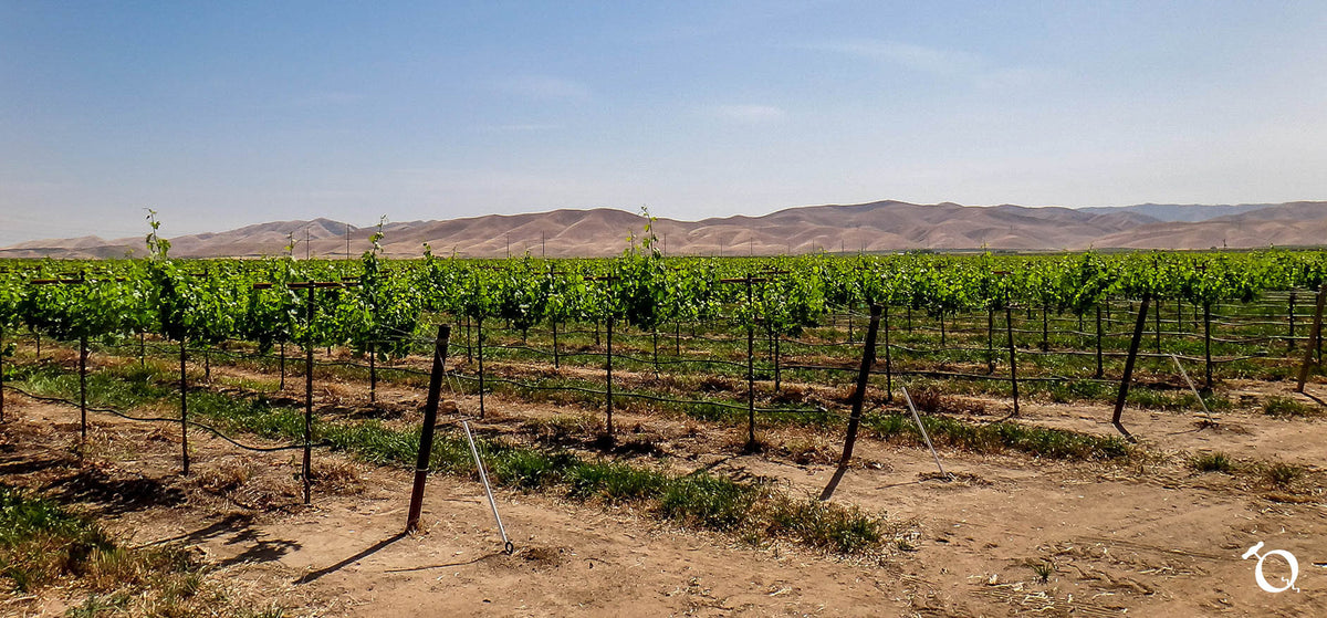 Diablo Grande – Qorkz