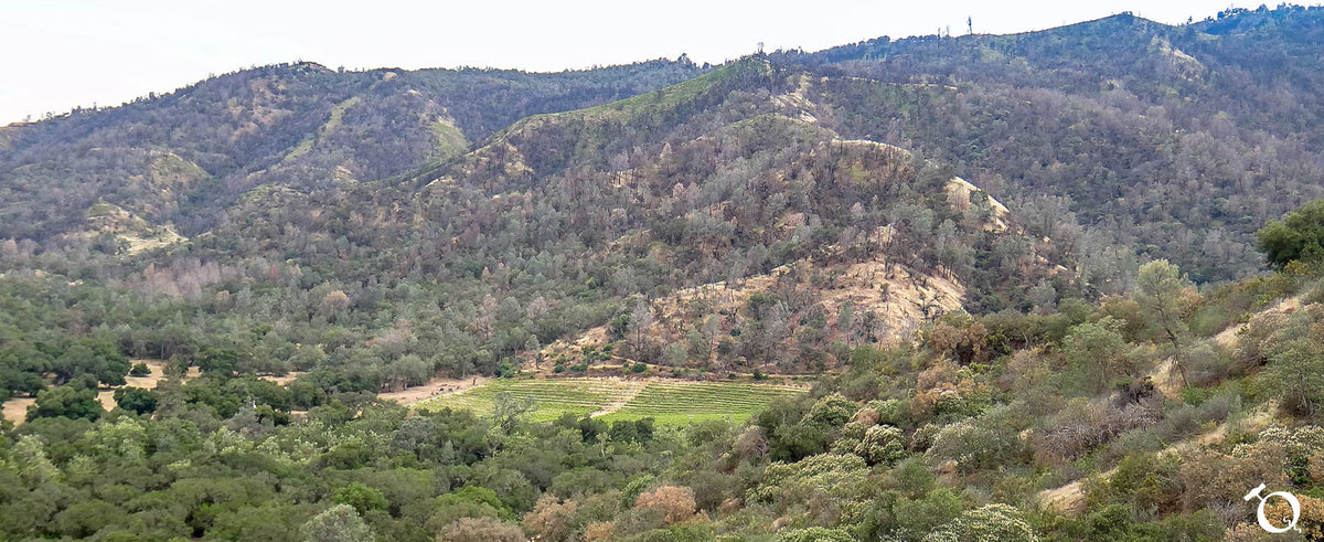 Mount Harlan – Qorkz